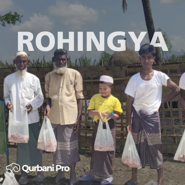 Rohingya - 1/7 of a Cattle – Qurbani Pro Pte Ltd